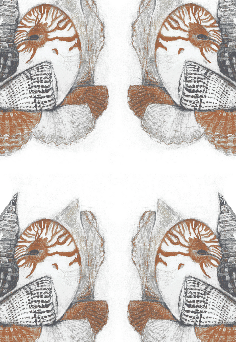 Electra Sheer Mesh Topper in Shellscape | Ala von Auersperg ...